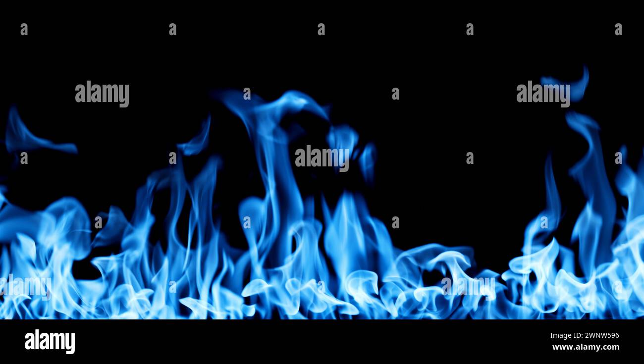 Blue firestorm. Gas Fire burning. Bright burning blue flames on a black ...