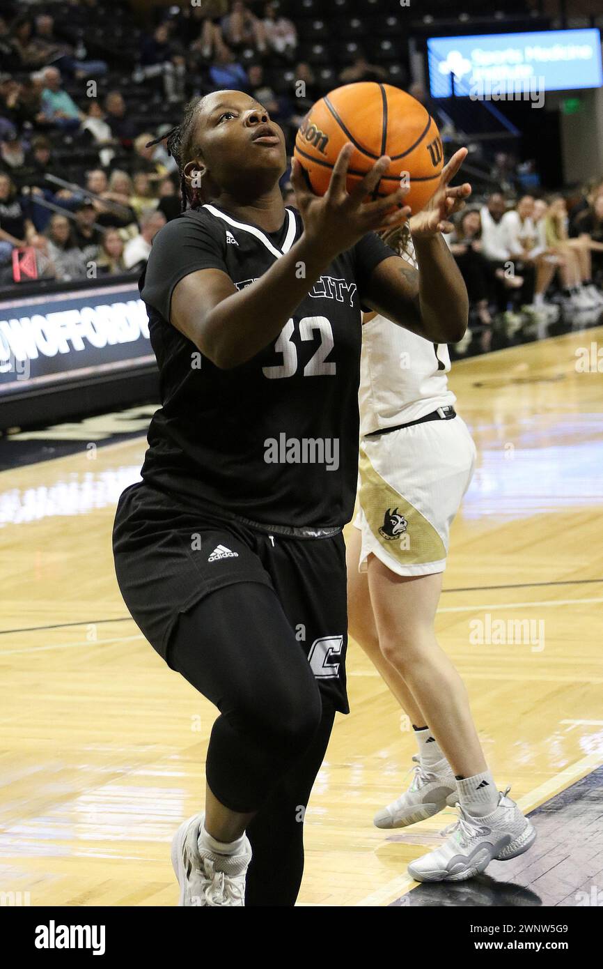 SPARTANBURG, SC - MARCH 02: Chattanooga Mocs forward Raven Thompson (32 ...