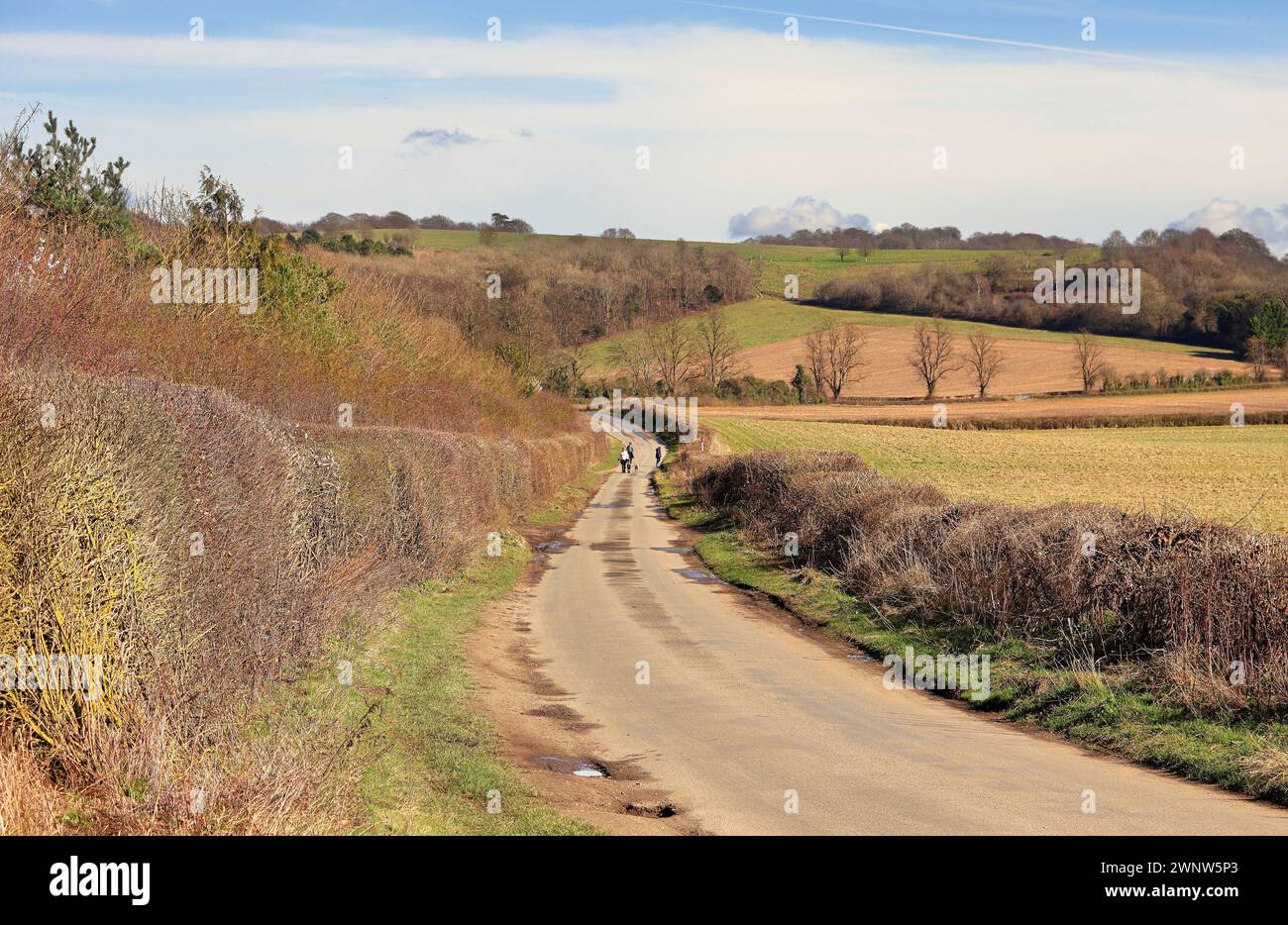 An English Rural Landscape in the Chiltern Hills in South Oxfordshire ...