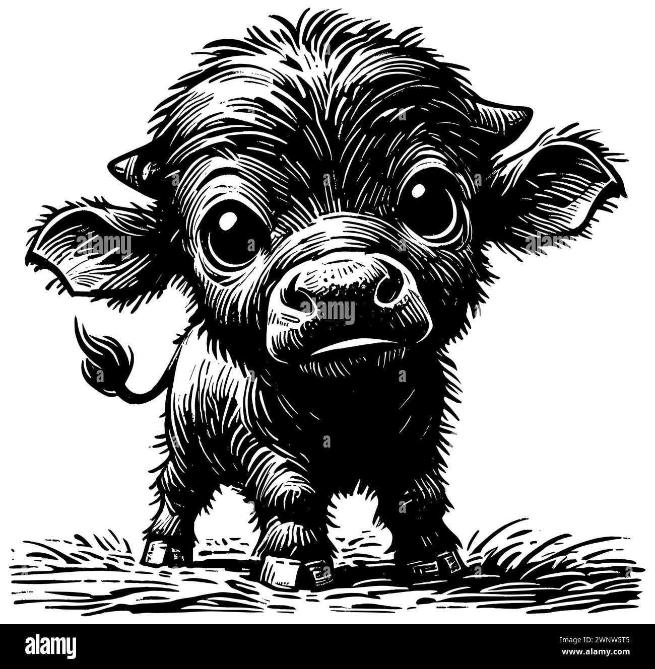 Woodcut style illustration of cute baby African buffalo on white ...