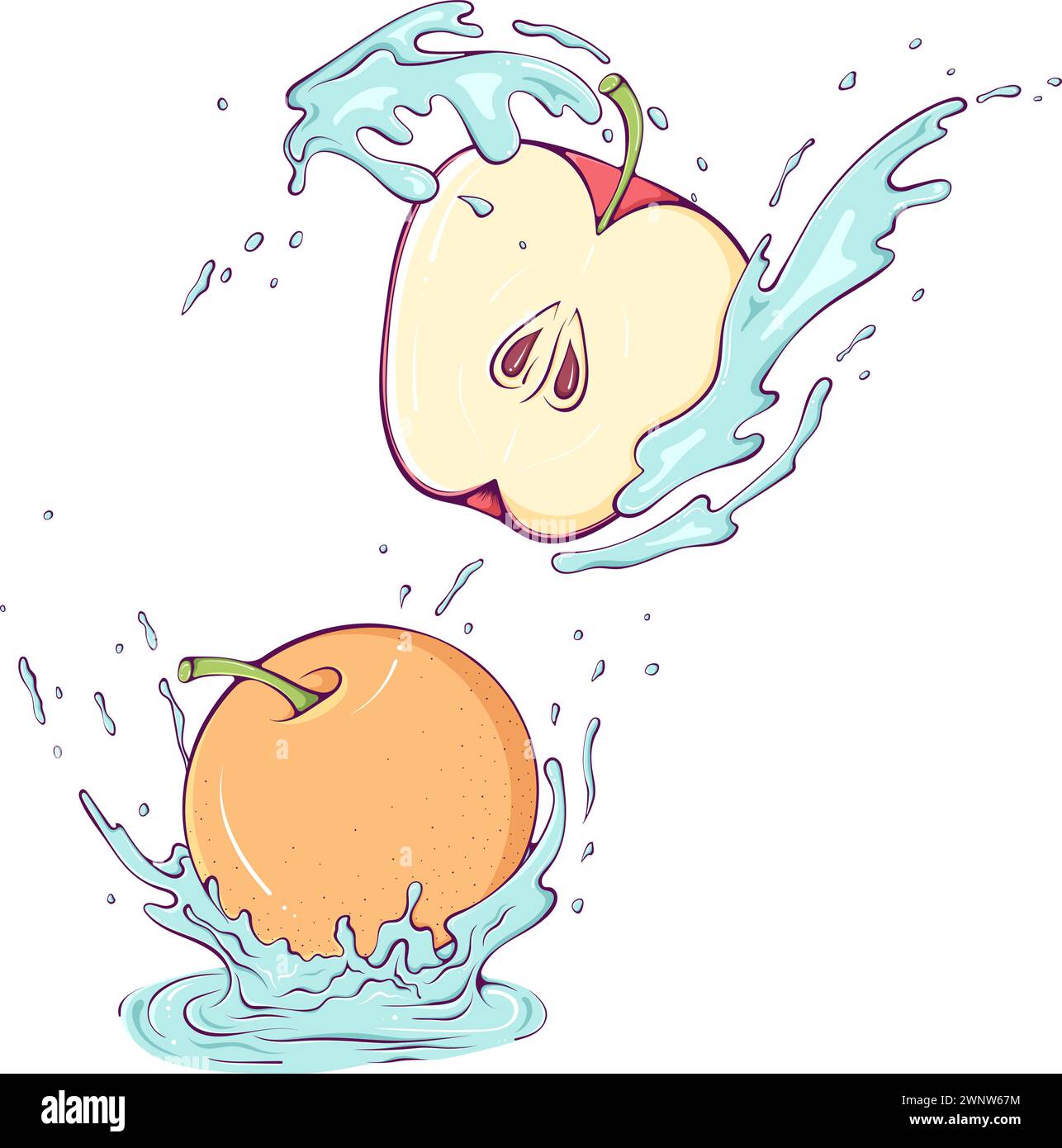 Apple half color line Stock Vector Images - Alamy