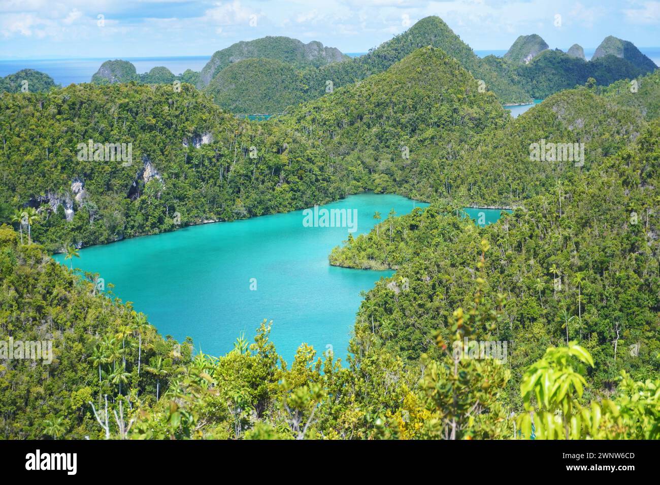 Landscape of Raja Ampat, West Papua, Indonesia. Aerial view. Nature ...