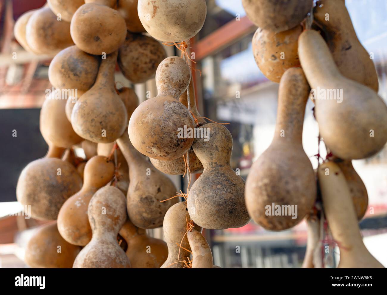 African gourds hi-res stock photography and images - Alamy