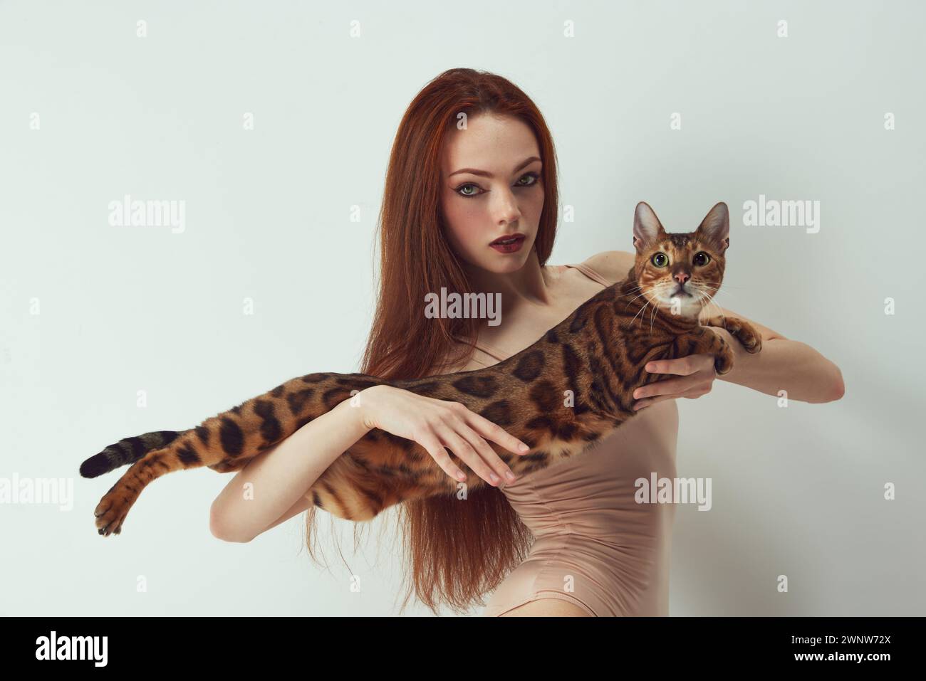Elegant, beautiful redhead woman with bright makeup holding Bengal cat ...