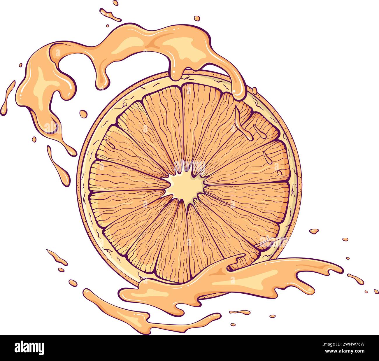 Round orange slice with splash color Stock Vector Image & Art - Alamy