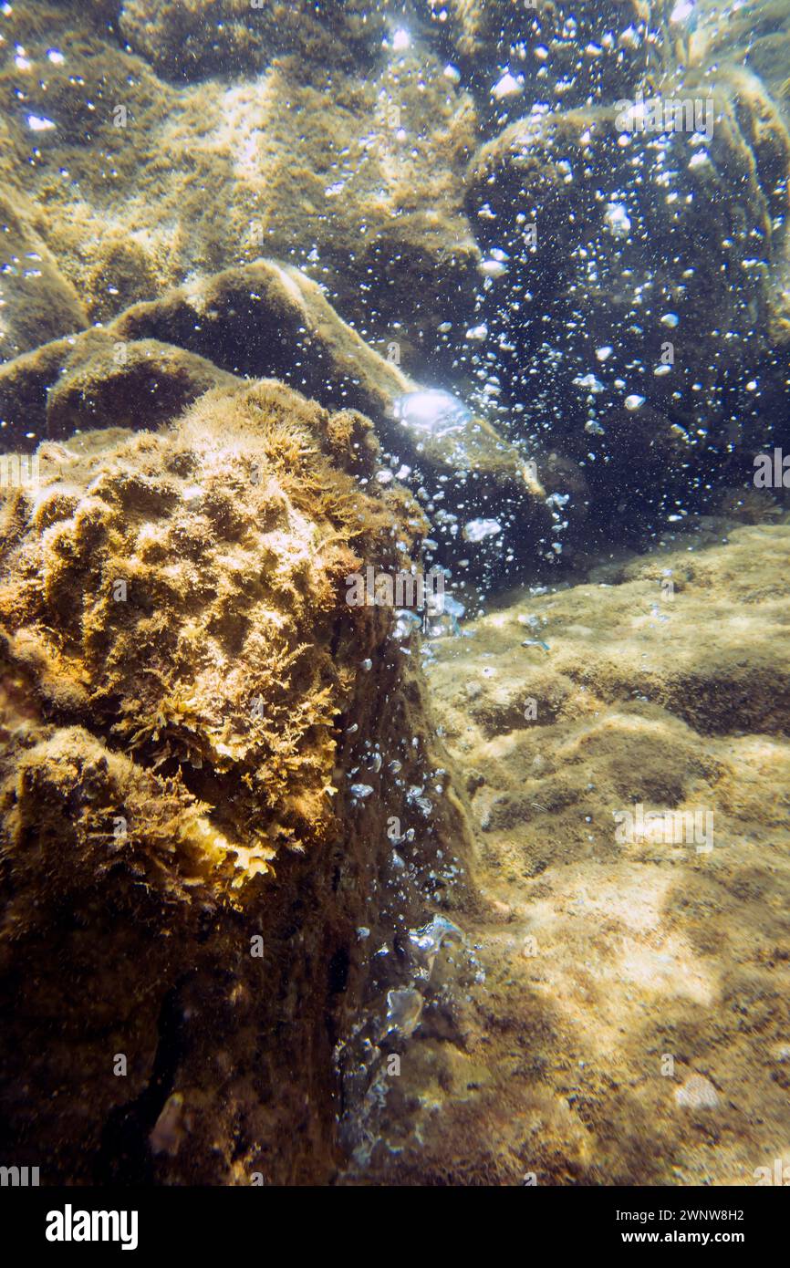 Bubbles escaping from the rocks on Champagne Reef near Roseau, Dominica ...