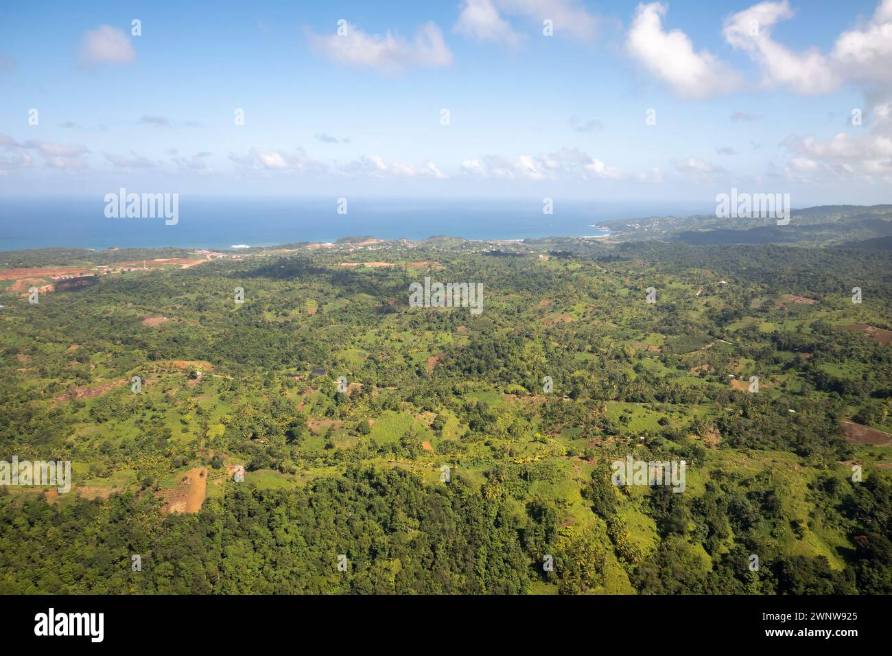 Dominica rainforest aerial hi-res stock photography and images - Alamy