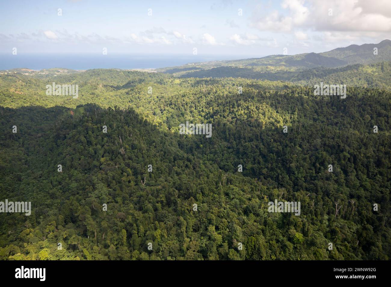 Dominica rainforest aerial hi-res stock photography and images - Alamy