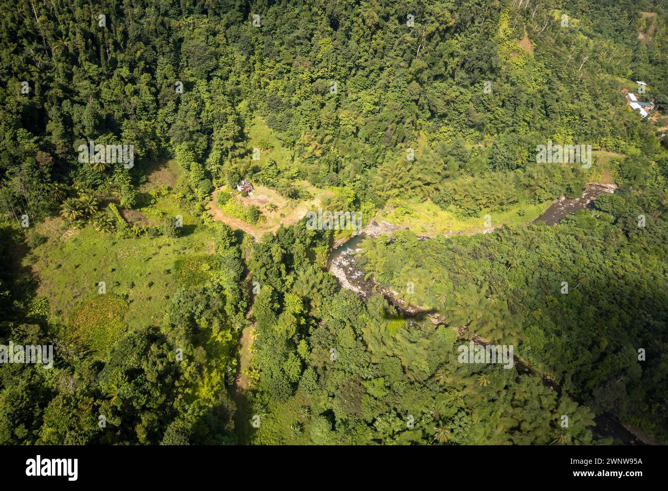 An aerial view of the thick vegetation in a rural area of Dominica ...
