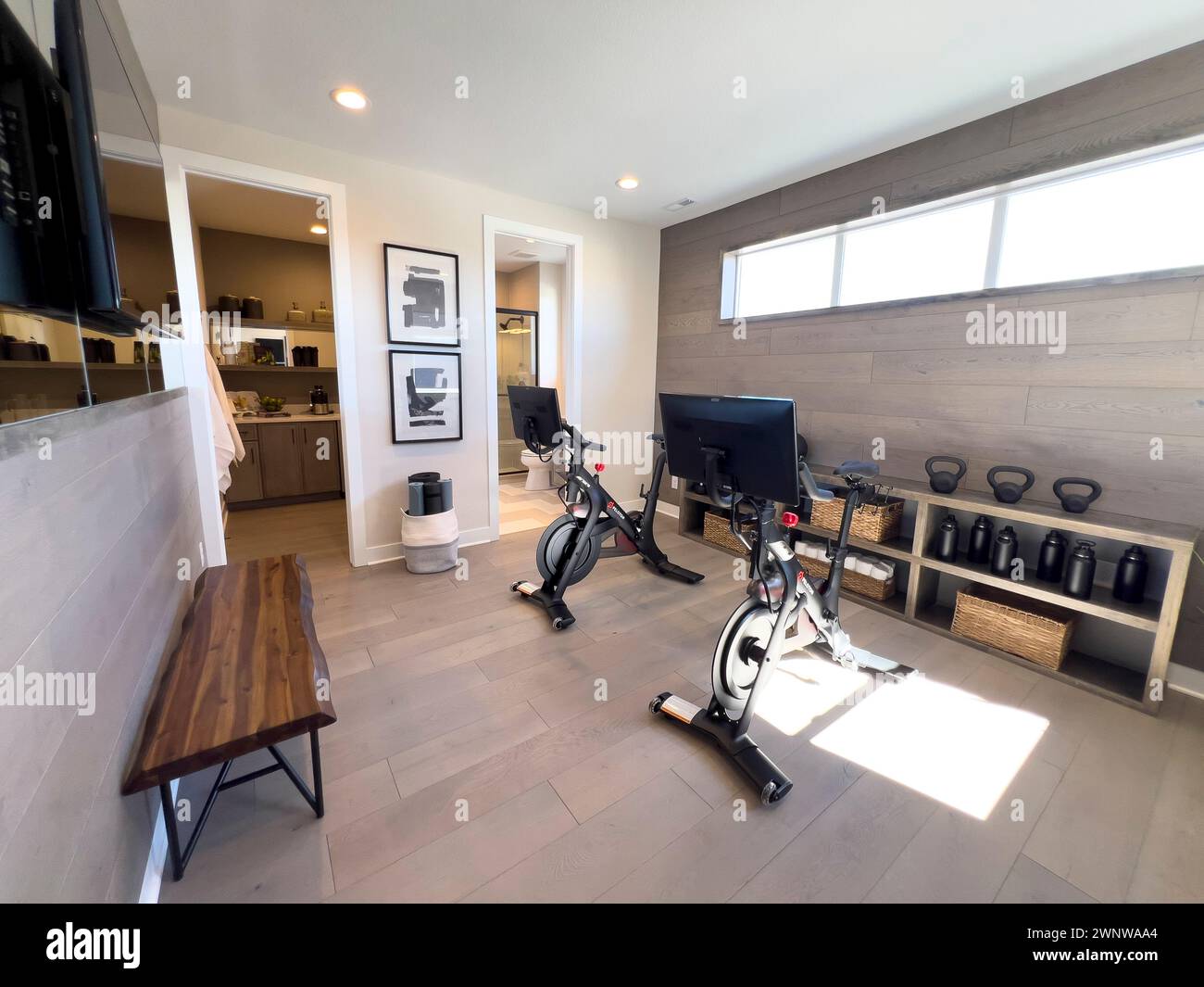 Modern Home Gym with Elegant Wood Accents and Natural Light Stock Photo ...