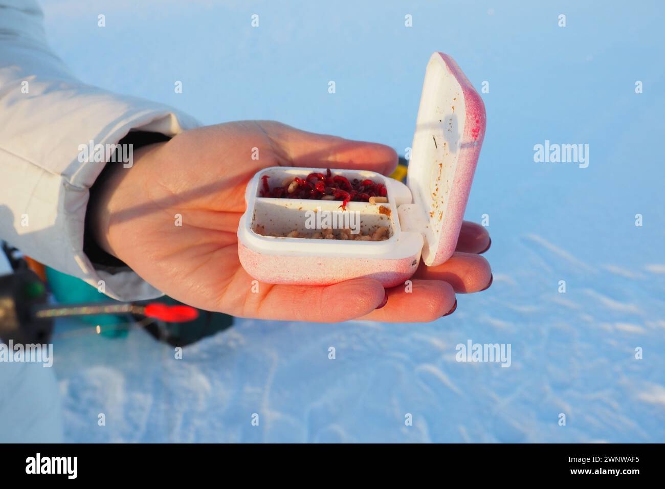 Hooking worm hi-res stock photography and images - Alamy