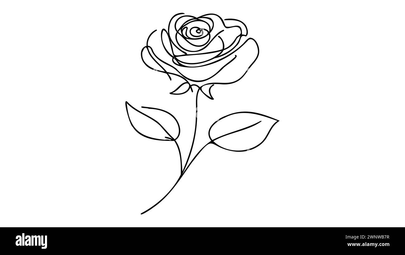 One continuous line rose design. Hand drawn minimalism style vector ...