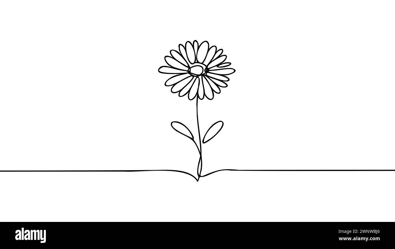 Daisy Flower In Continuous Line Art Drawing Style Chamomile One Line