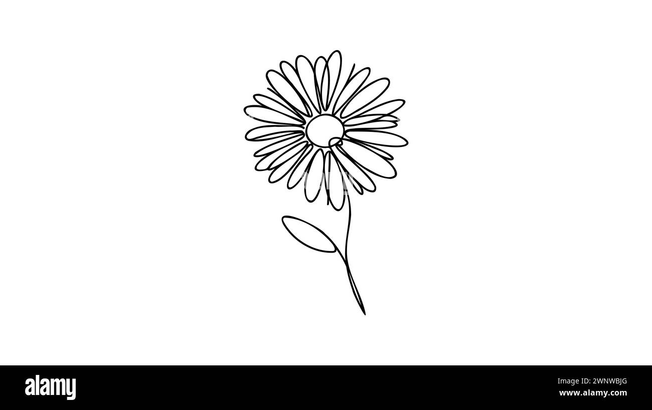 Daisy Flower In Continuous Line Art Drawing Style Chamomile One Line