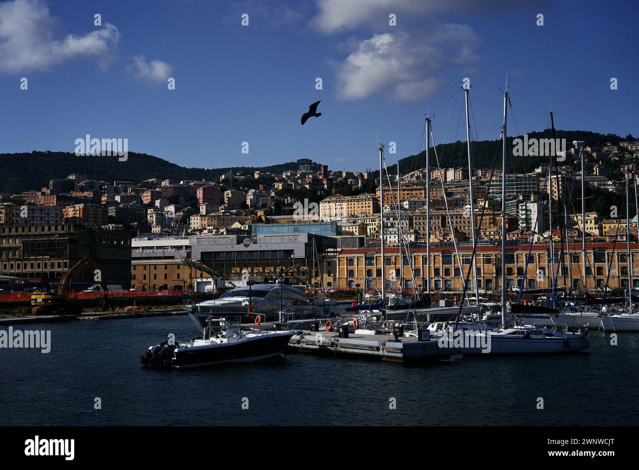 bay in Genoa, the vibe of the Italian summer Stock Photo - Alamy