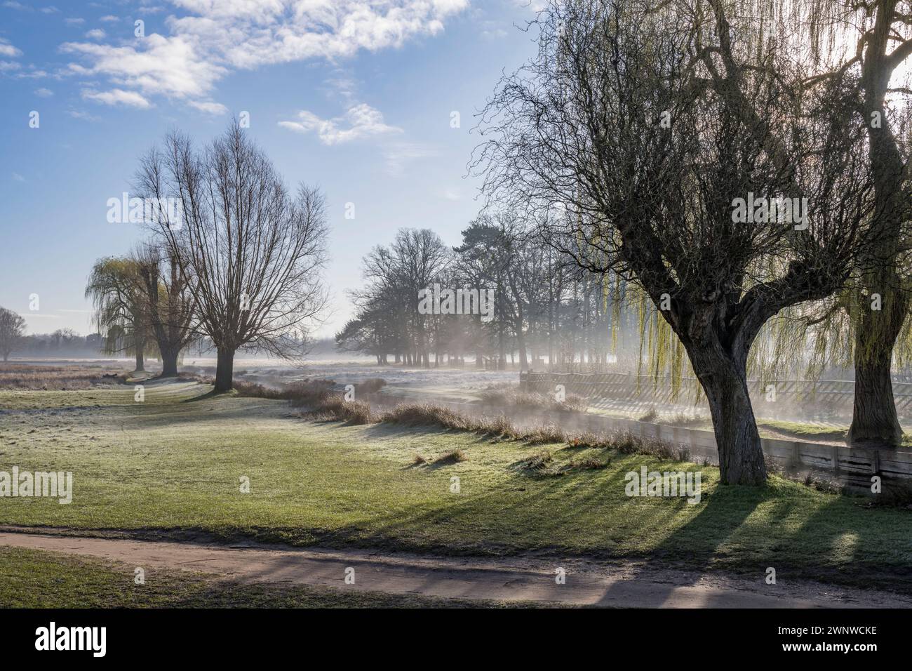 Magical wildlife hi-res stock photography and images - Alamy