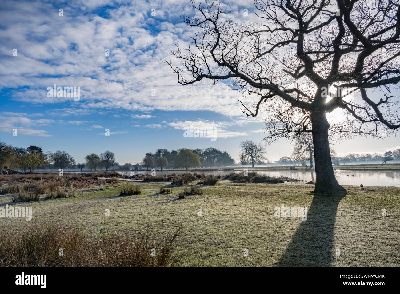 Beauty of rising sun hi-res stock photography and images - Alamy