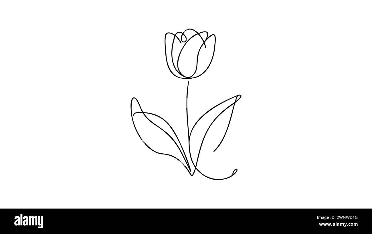 Tulip flower line art. Minimalist contour drawing. One line artwork ...