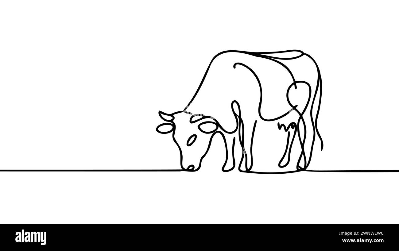 Drawing a continuous one line. Cow on white isolated background Stock ...