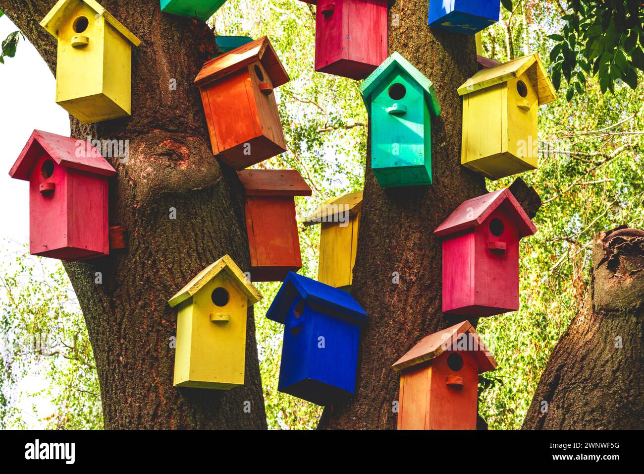 Multicolored Birdhouses.Colored nesting box. Colorful Bird Houses ...