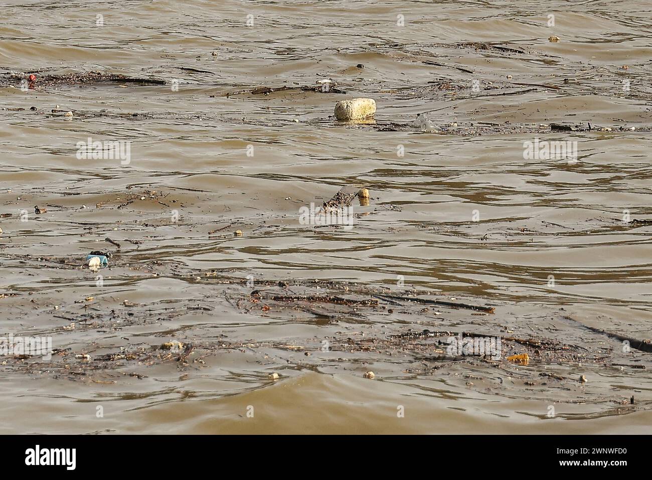 Paris, France. 04th Mar, 2024. Will the Seine be ready for aquatic ...