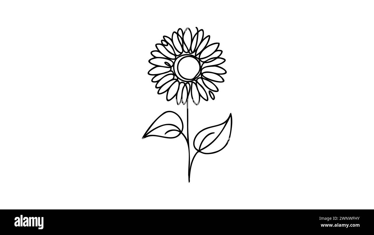 One line sunflower element. Black and white monochrome continuous ...