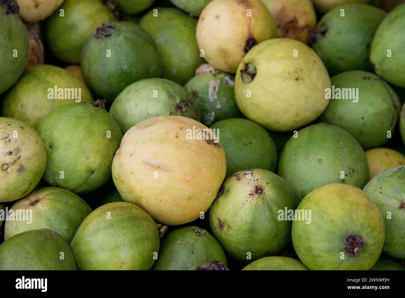 Perception cultivation hi-res stock photography and images - Alamy