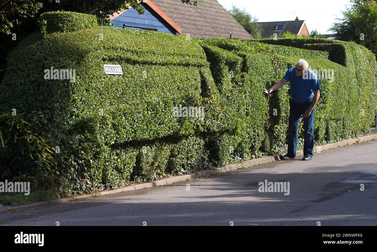 11/09/16 A hedge in Nottinghamshire has been crafted into a one third ...