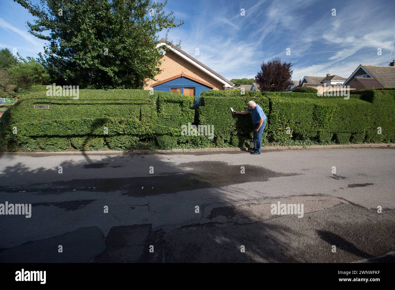11/09/16 A hedge in Nottinghamshire has been crafted into a one third ...
