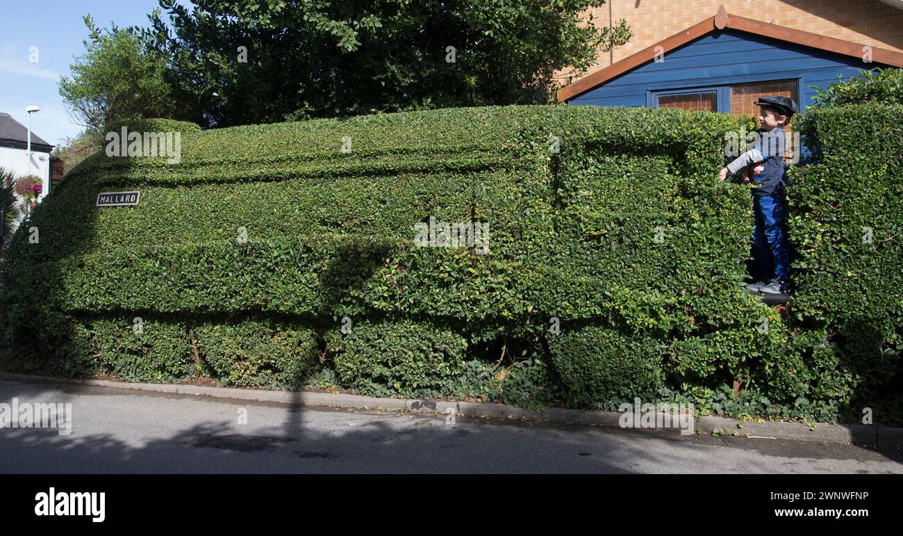 11/09/16 Benjamin Hnat-Day (6) pretends to be the train driver. A hedge ...