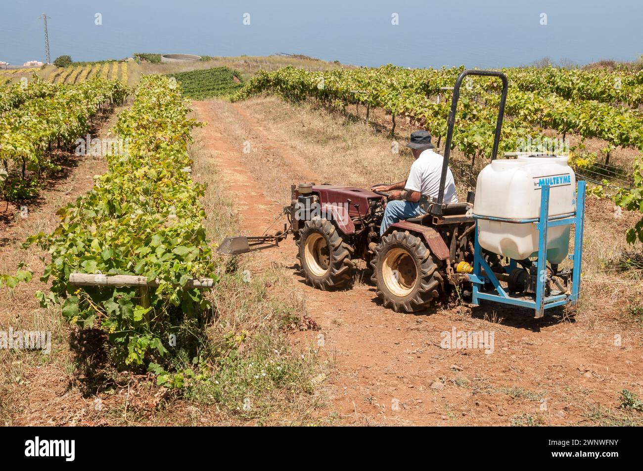 Crops in farmers fields hi-res stock photography and images - Alamy