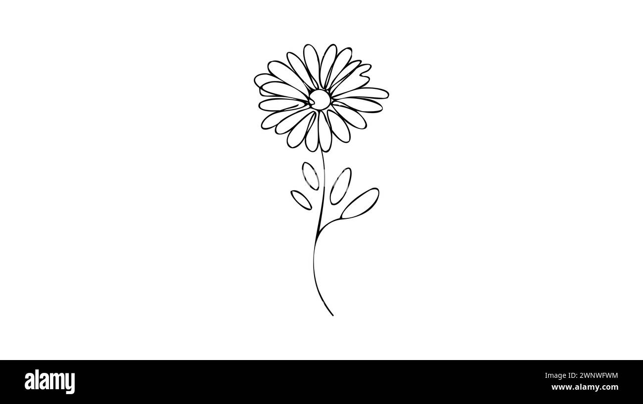 Daisy flower in continuous line art drawing style. Chamomile One line ...