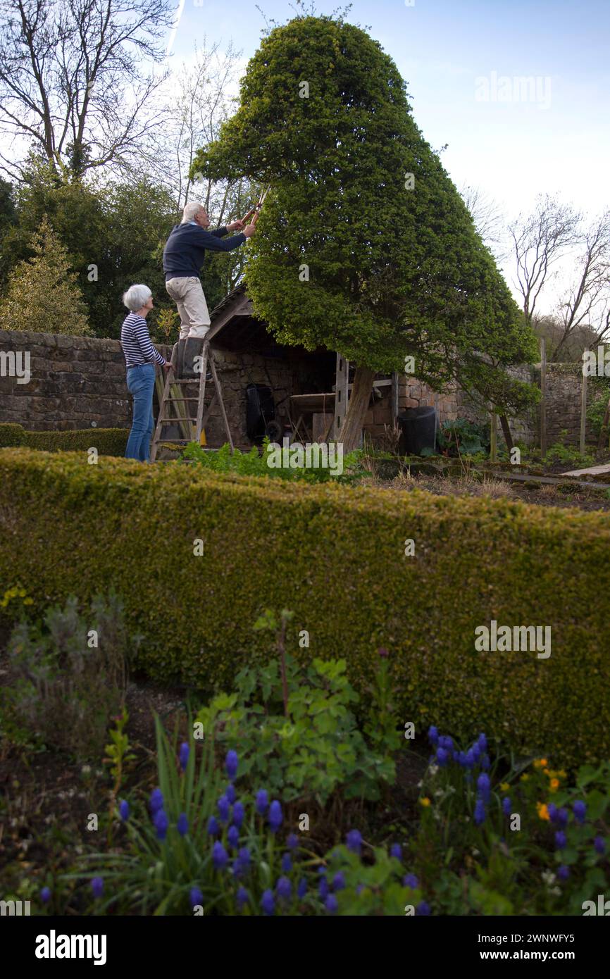 12/04/17 Marie Shawcross, 76, steadies the ladder as her husband, David ...