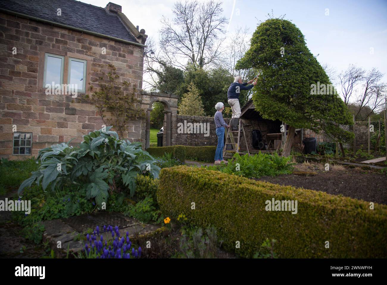 Topiary chick hi-res stock photography and images - Alamy