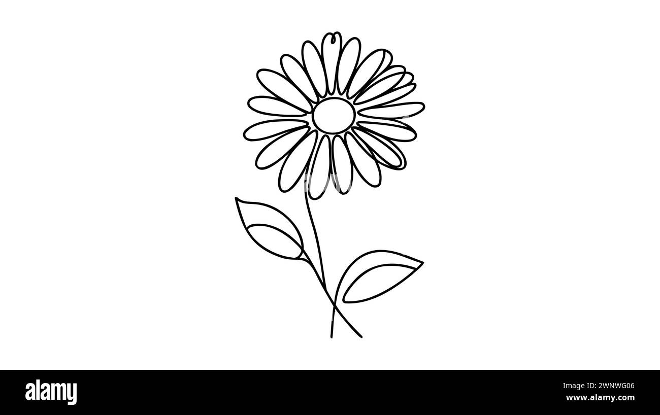 Daisy Flower In Continuous Line Art Drawing Style Chamomile One Line