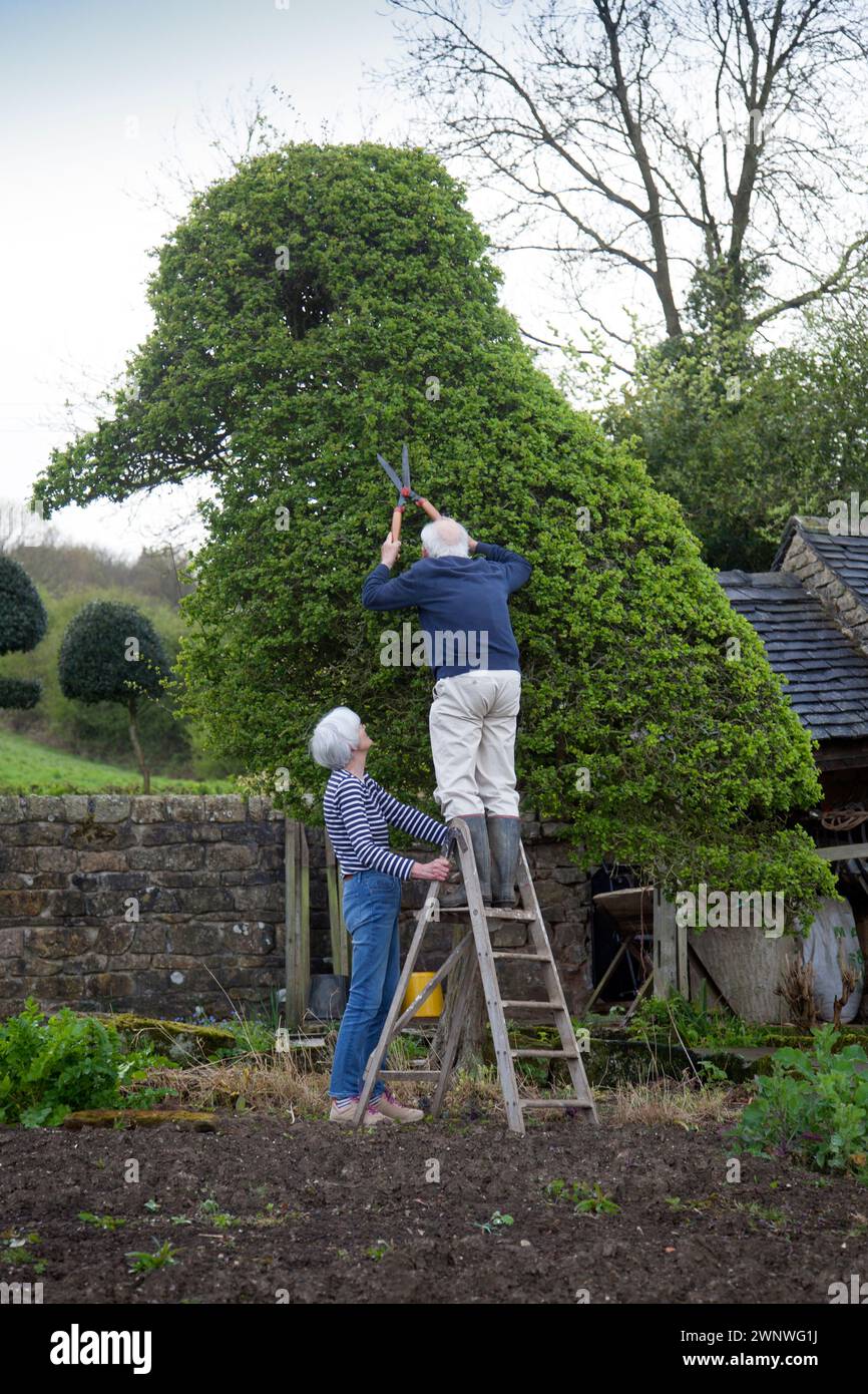 12/04/17 Marie Shawcross, 76, steadies the ladder as her husband, David ...