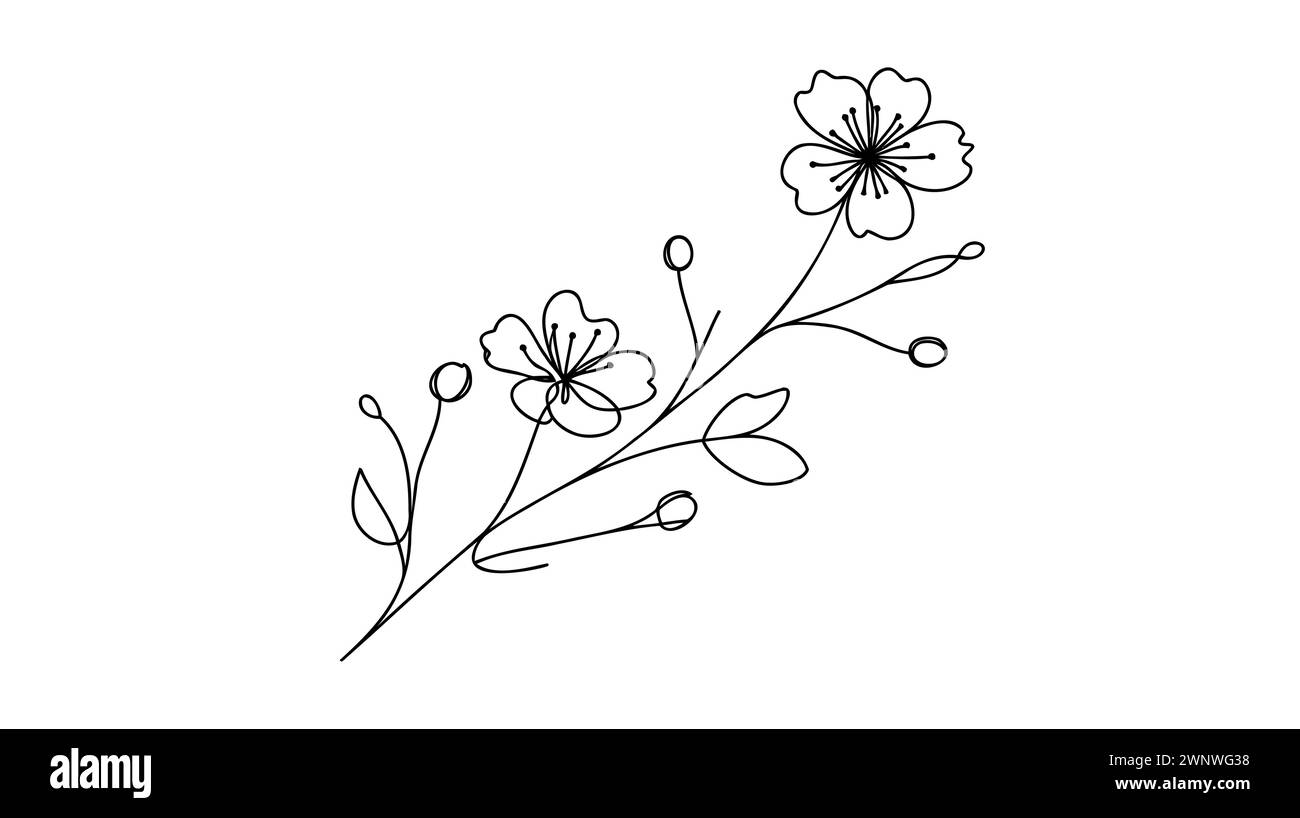 Hand drawn cherry blossom. Sakura branch with flower one continuous ...