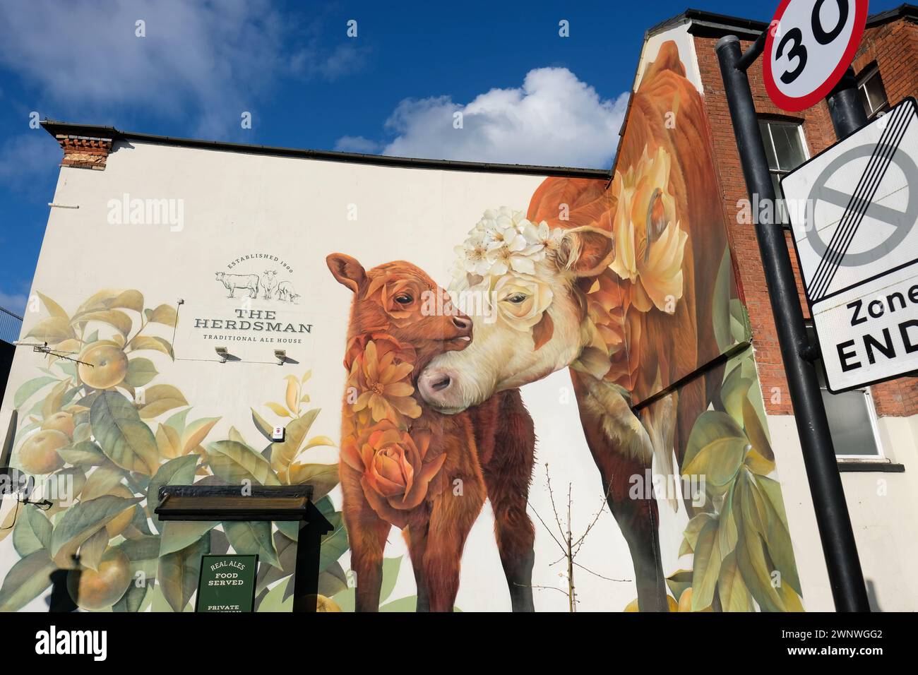 Hereford Herefordshire UK - March 2024 new mural art by muralist Curtis ...
