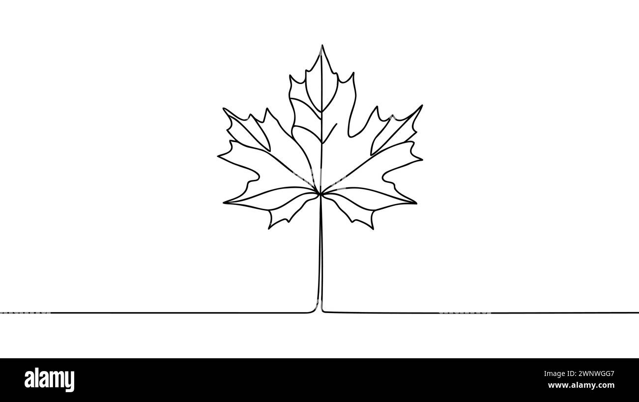 One continuous line drawing of isolated vector object - maple leaf Stock Vector Image & Art - Alamy