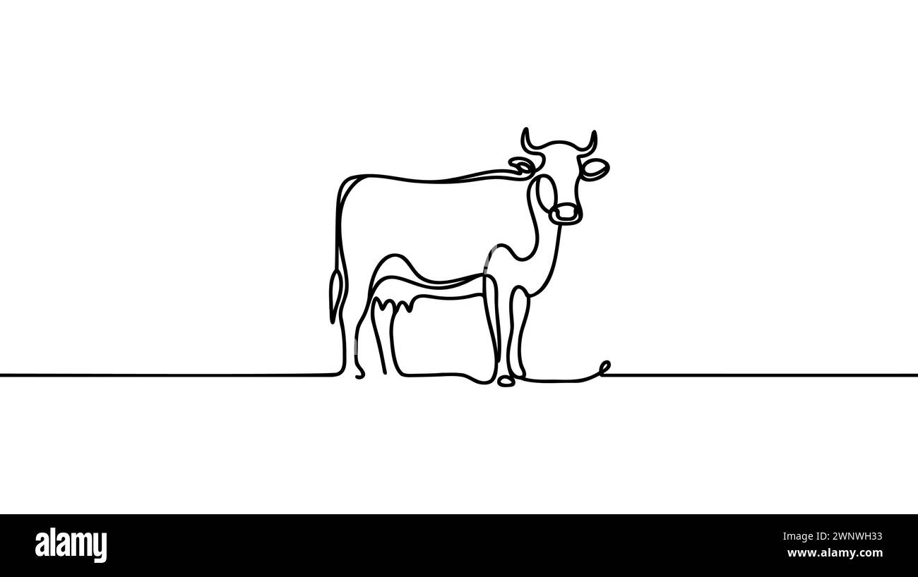 Drawing a continuous one line. Cow on white isolated background Stock ...