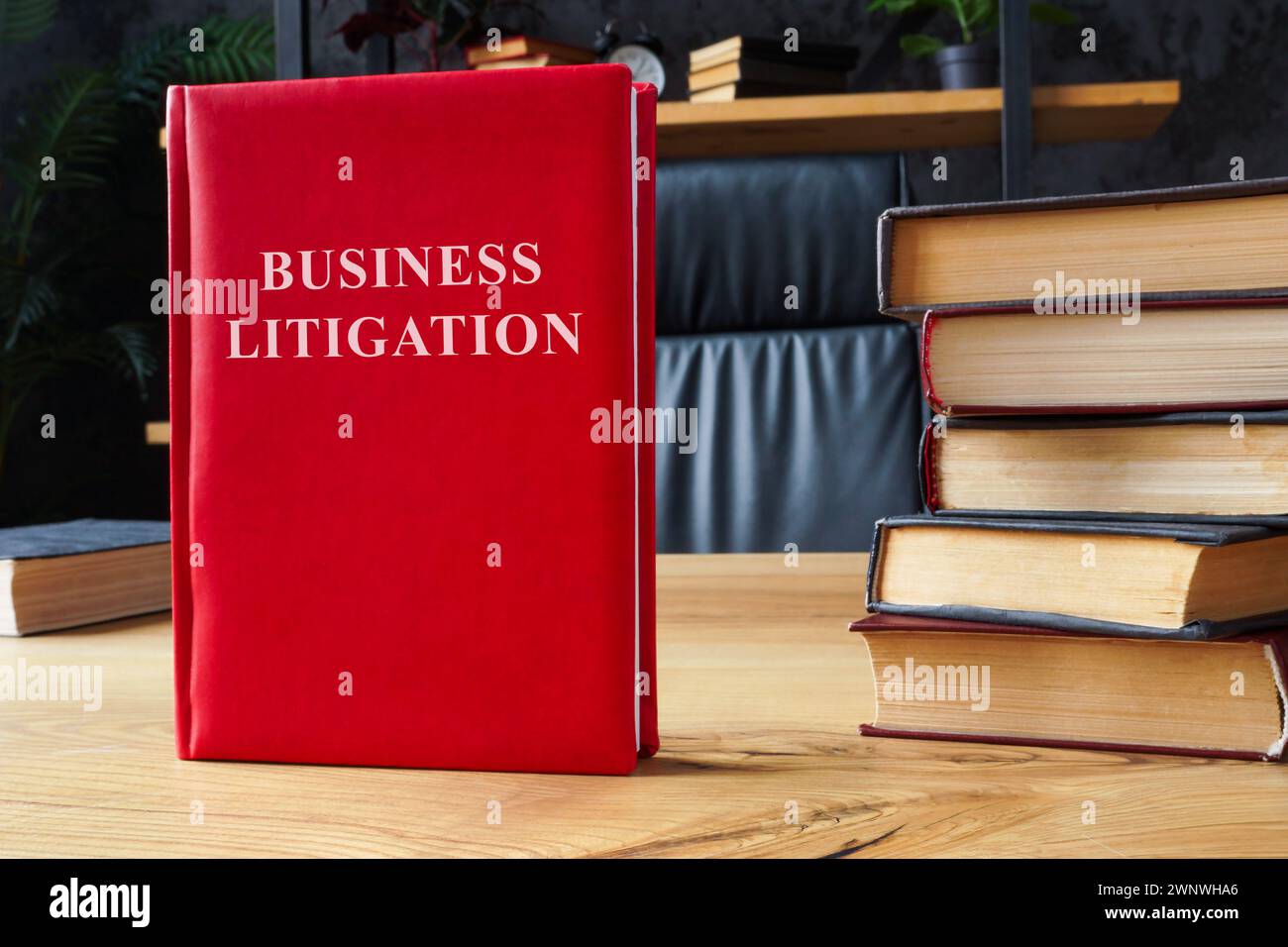 Business litigation corporate law hi-res stock photography and images ...