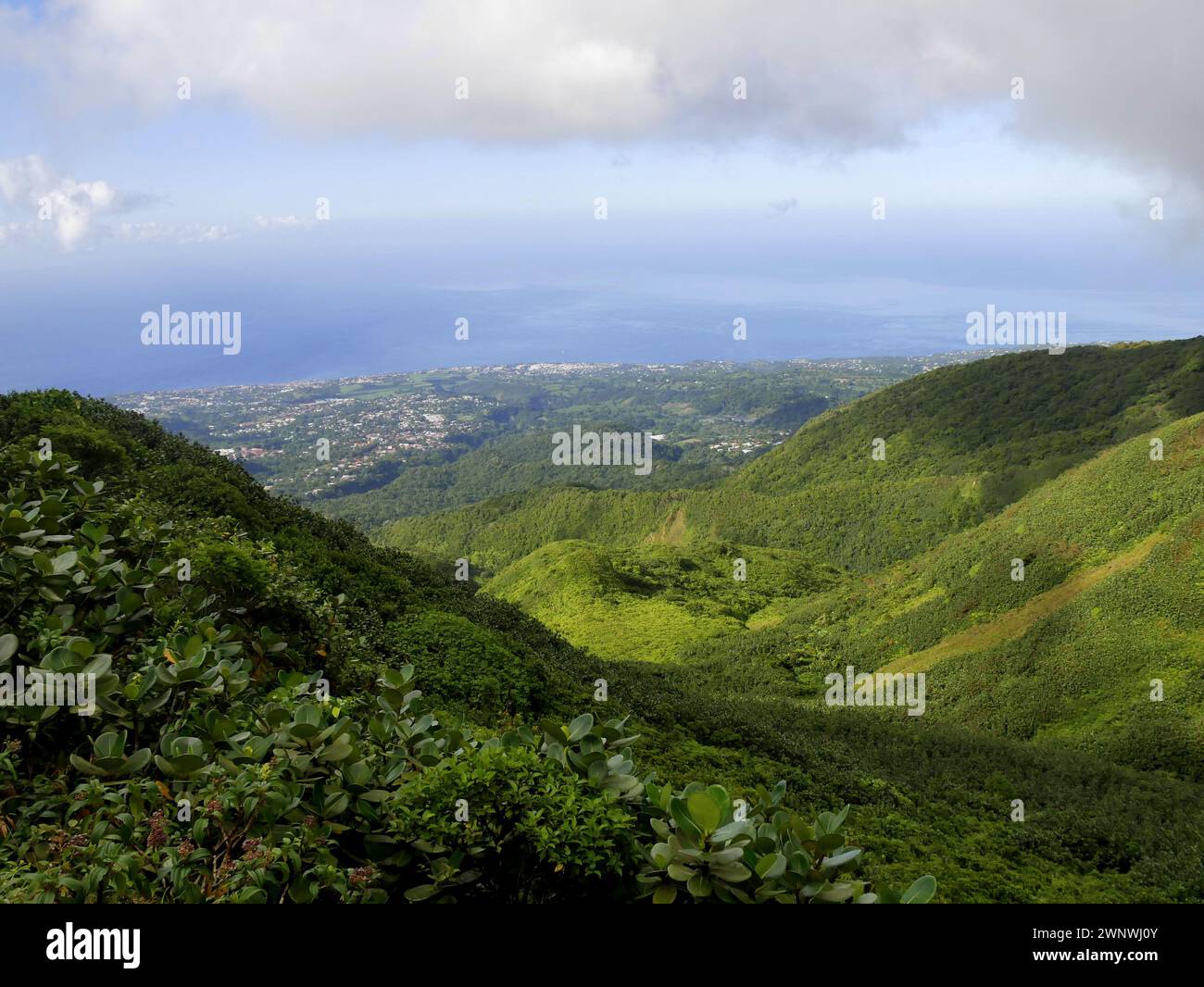 panorama photo of basse terre west coast seen from soufriere mountain ...