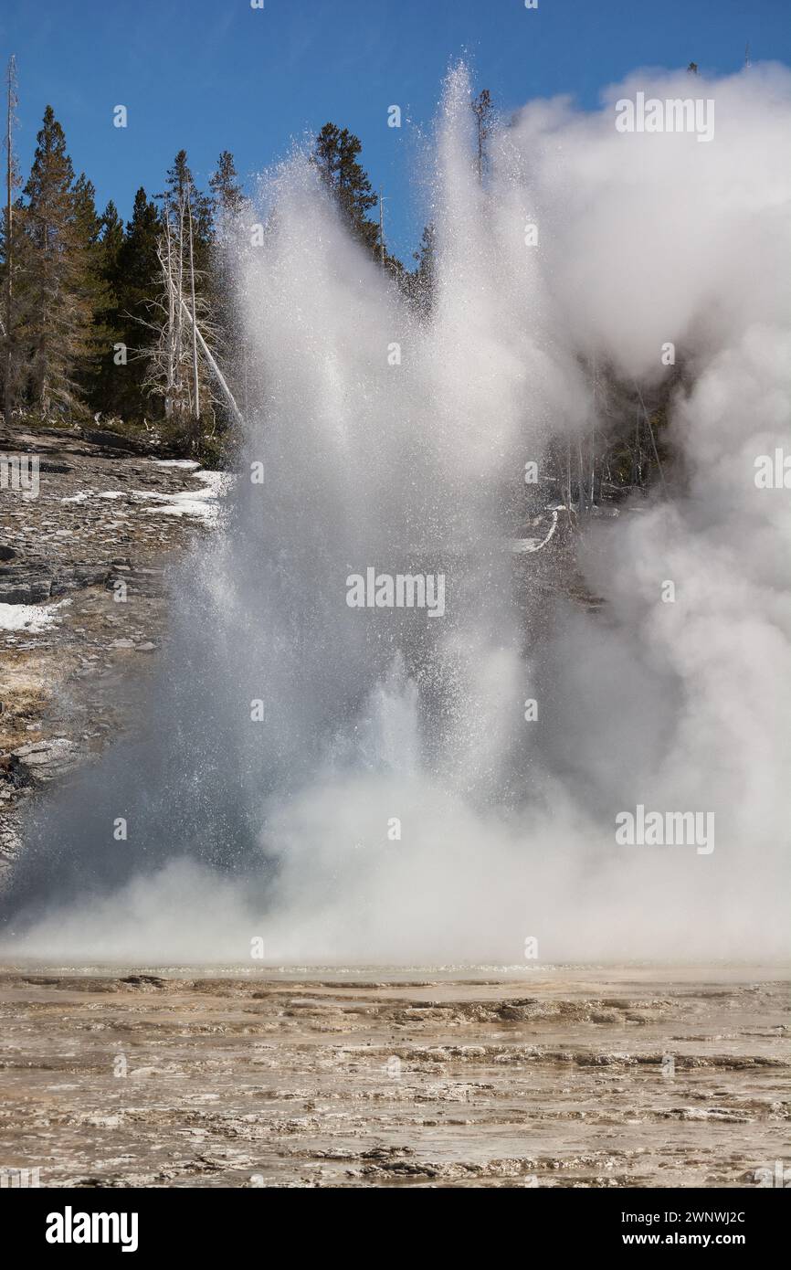 An image capturing the raw power of nature as a geyser erupts, sending ...