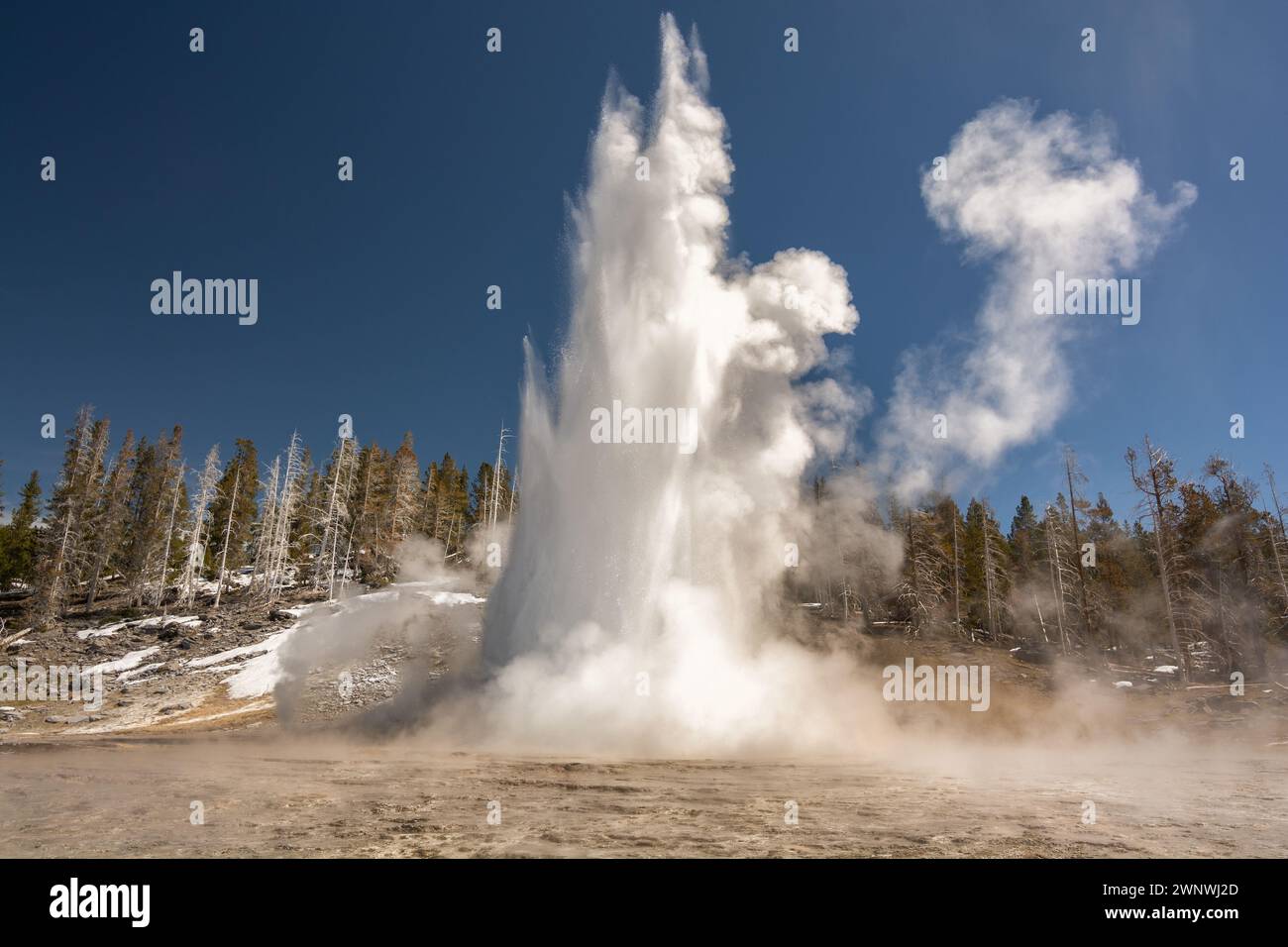 An awe-inspiring image capturing the raw power of nature as a geyser ...