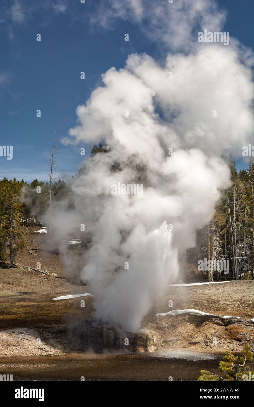 An image capturing the raw power of nature as a geyser erupts, sending ...
