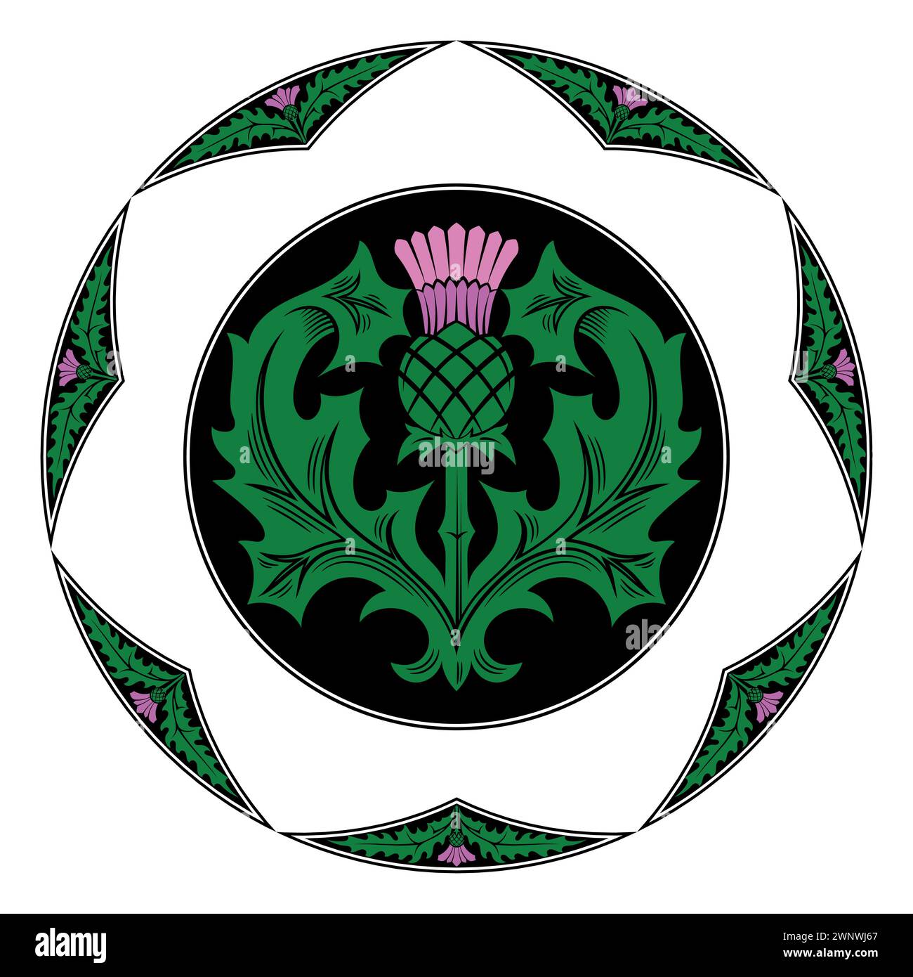 Thistle flower and ornament round leaf thistle. The Symbol Of Scotland ...
