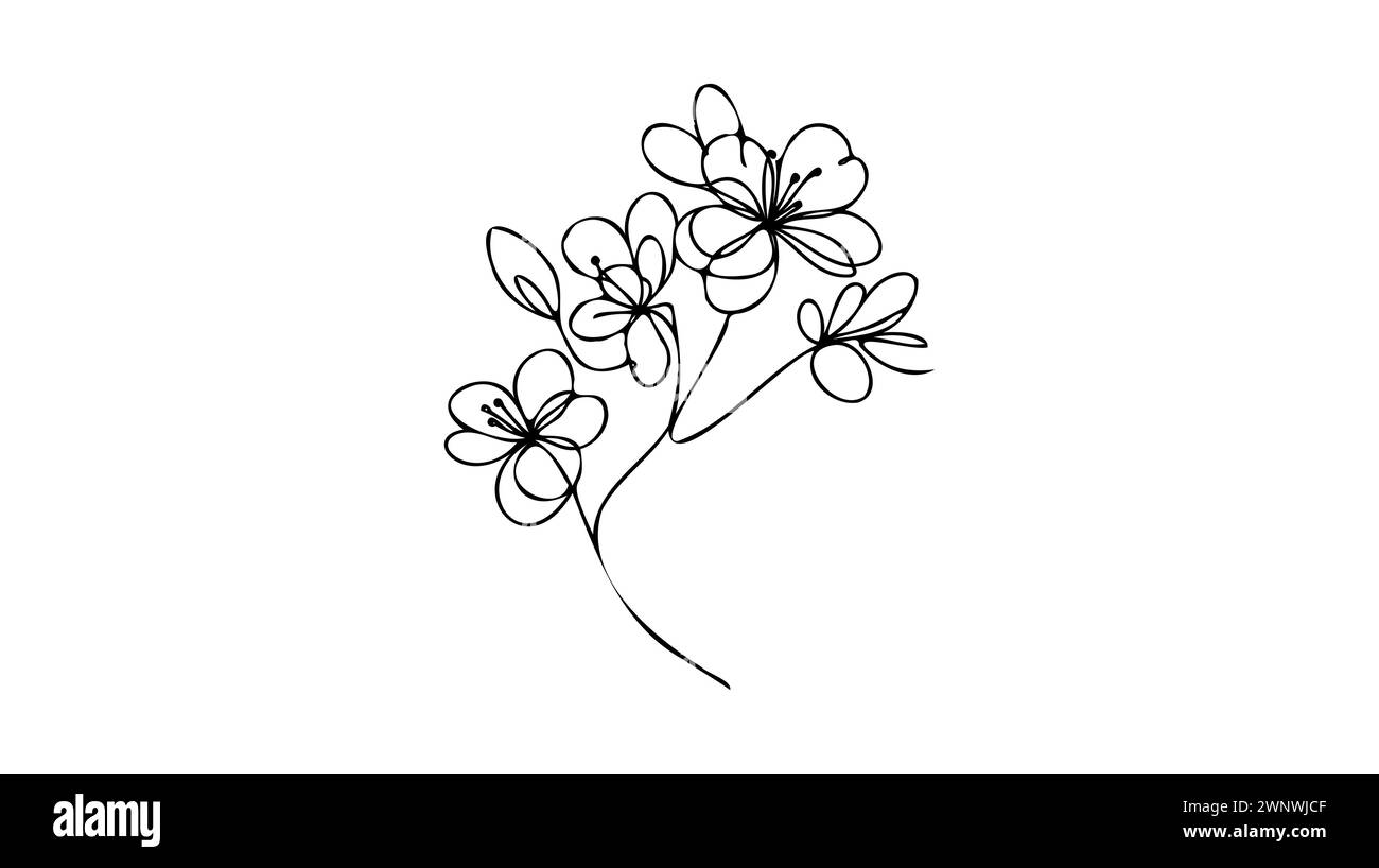 Hand drawn cherry blossom. Sakura branch with flower one continuous ...