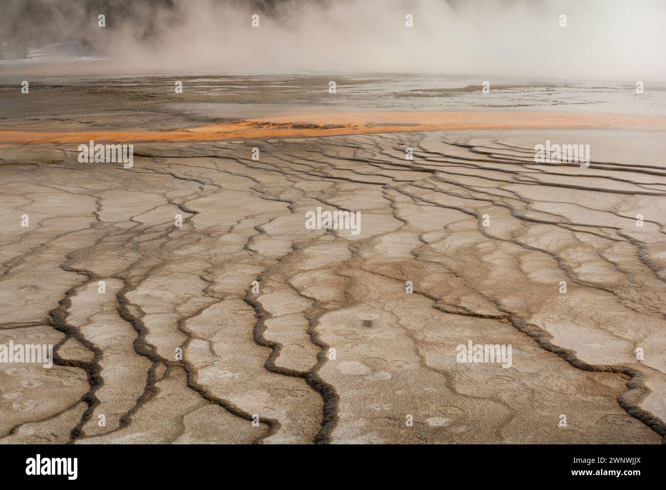 An up-close detail of the fascinating and complex patterns created by ...