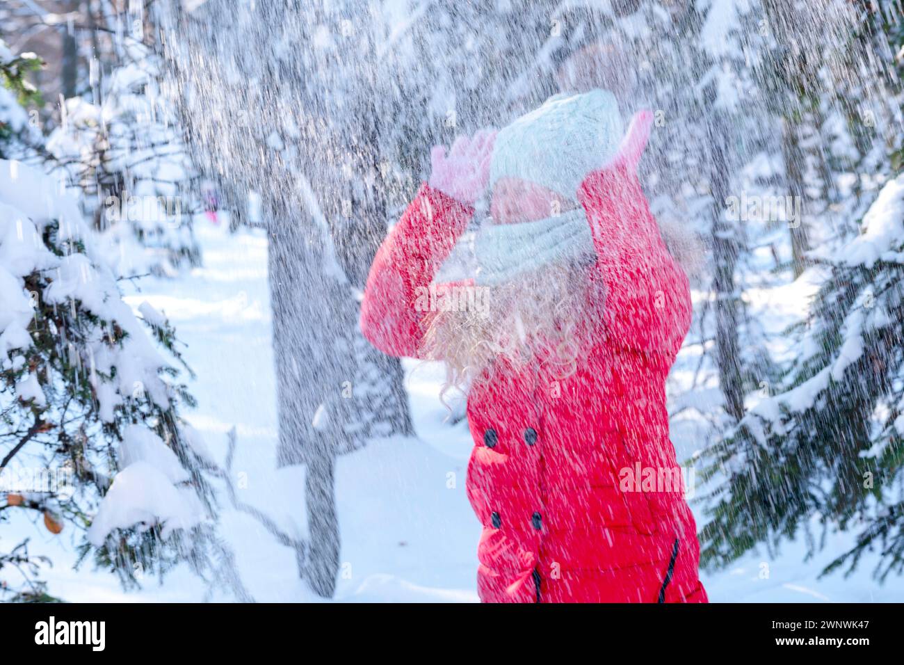 Blurred photo. Girl snowfall on the background of the forest. A child ...