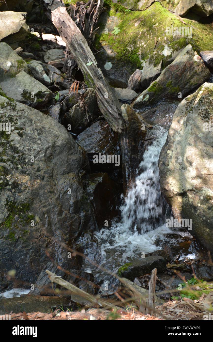 Rocks in woods hi-res stock photography and images - Alamy